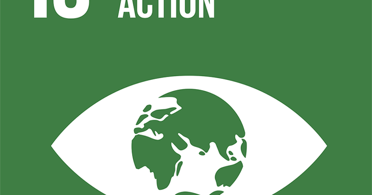 SDG 13- Climate Action | Social Justice Ireland